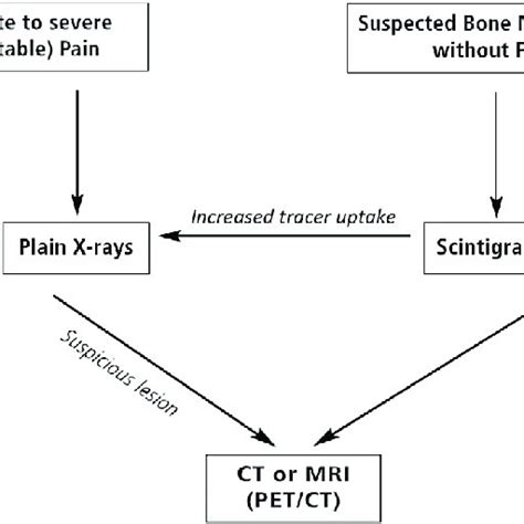 algorithm for radiological detection of bone metastases download