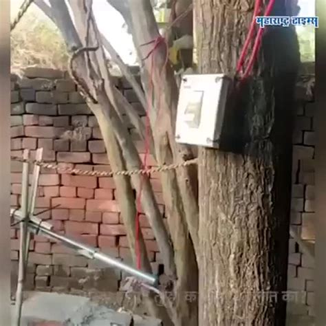 Ongom Robert Posted On Linkedin