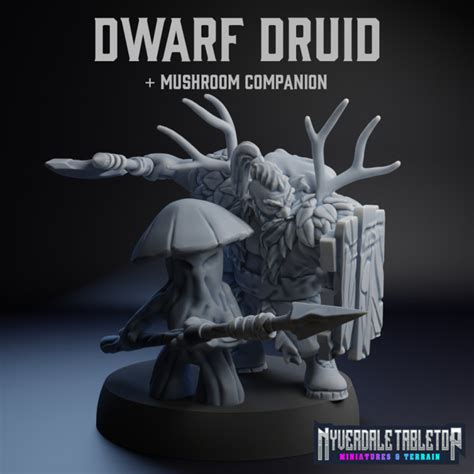 3d Printable Dwarf Druid With Mushroom Companion By Nyverdale Tabletop