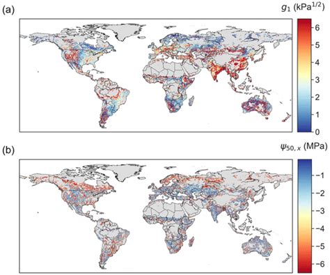 Hess Global Ecosystem Scale Plant Hydraulic Traits Retrieved Using