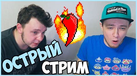 Острый стрим, Пермь, новая арена для муравьев! - YouTube