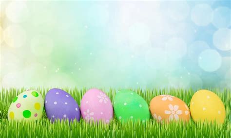 Easter Bg Images Free Download On Freepik