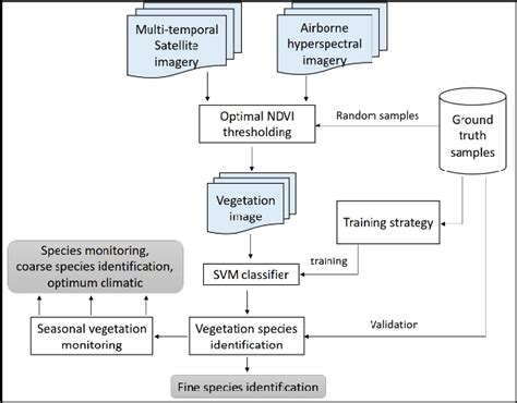 Vegetation Species Mapping By Multi Temporal Satellite Imagery And