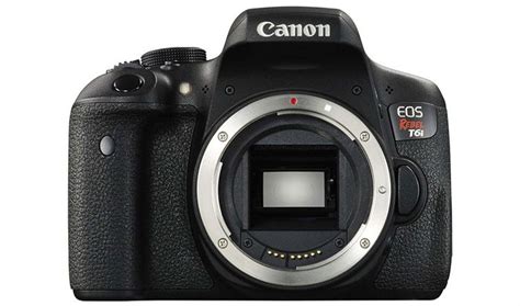 Best Entry Level DSLR Camera in 2021 (11 Top Picks!)