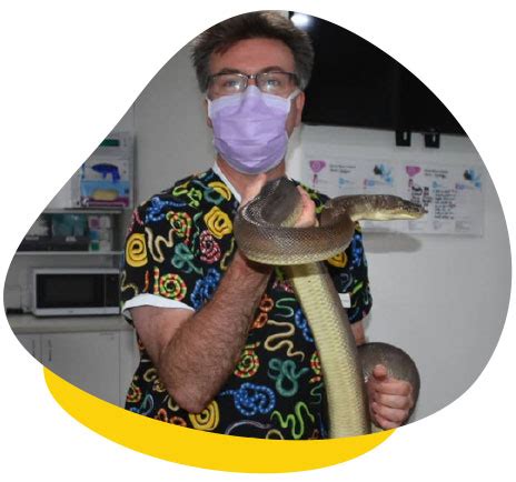 Caring For Olive Pythons Housing Feeding And More