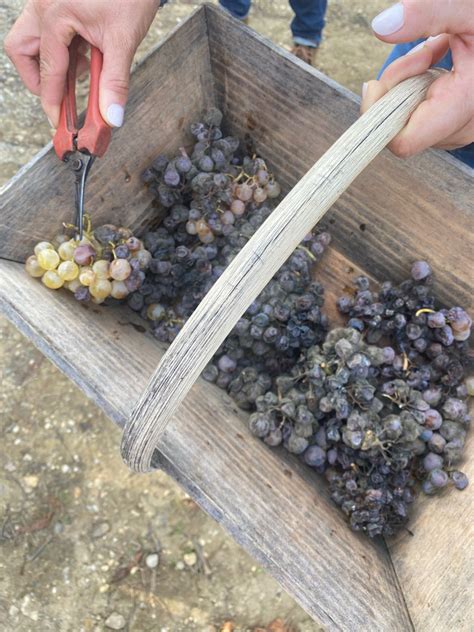 Isabelle L On Linkedin Jplvmh