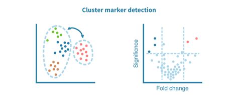 Single Cell RNA Seq Data Analysis Genevia Technologies