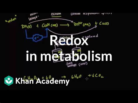 Oxidation And Reduction In Metabolism Video Lecture Neet