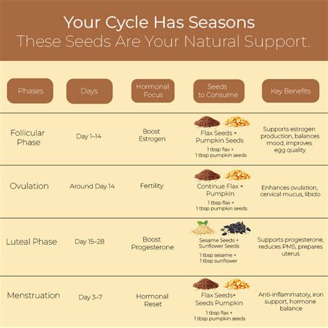 What Is Seed Cycling Seed Cycling Chart Vedikroots