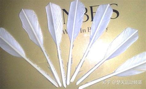 你平时用的羽毛球就决定着你能打出的水平 知乎