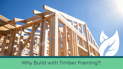 Disadvantages Of Timber Frame Structure At Levi Darwin Blog