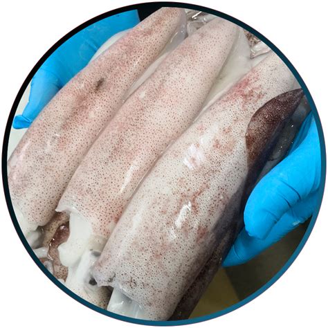 Calamar Premium Fish