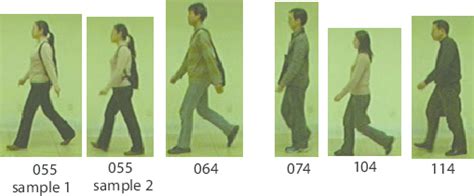 Persons Bad Identified Carrying Baggage Download Scientific Diagram