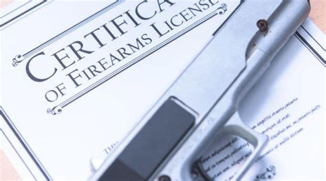 Guidelines For New Gun Owners Michel And Associates Pcmichel