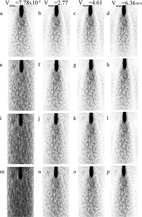 Model Prediction Of The Fluid Velocity Vector At Different Flow Rates Download Scientific