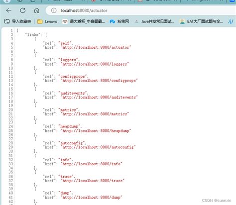 springboot监控模块 actuator curity endpoints csdn博客