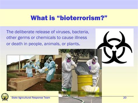 Agroterrorism And Bioterrorism Causes Prevention Pdf Infectious Diseases Diseases And