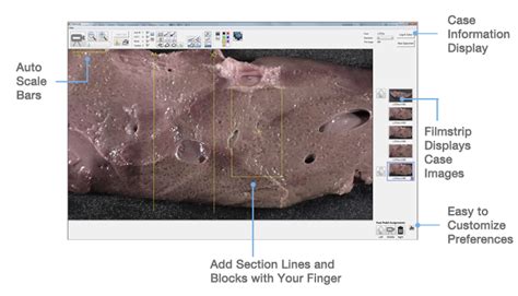 Pathstation Macro Imaging System Gross Images Made Easy