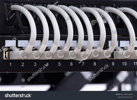 Ethernet Cable Rj45 Connector Connected Socket Stock Photo 2285781389 Shutterstock