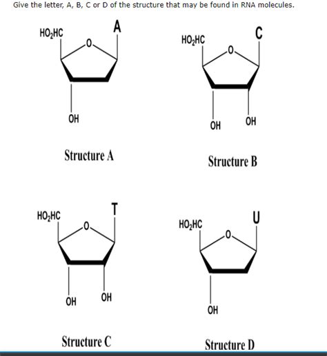 Solved Give The Letter A B C Or D Of The Structure That