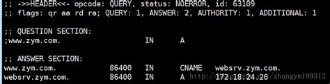 linux环境下搭建主从dns服务器 linux dns 主从 服务器部署 csdn博客