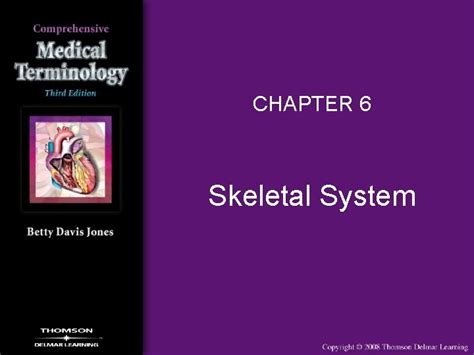 CHAPTER Skeletal System Skeletal System Human Skeleton