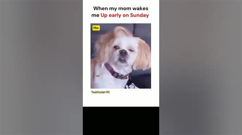 😁🤭programming Coding Webdevelopment Project C Javascript Funny