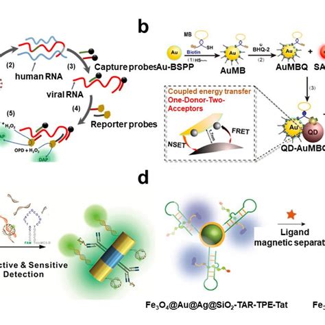 Viral Dna Target Fluorescence Biosensors Using Plasmonic Nanomaterials