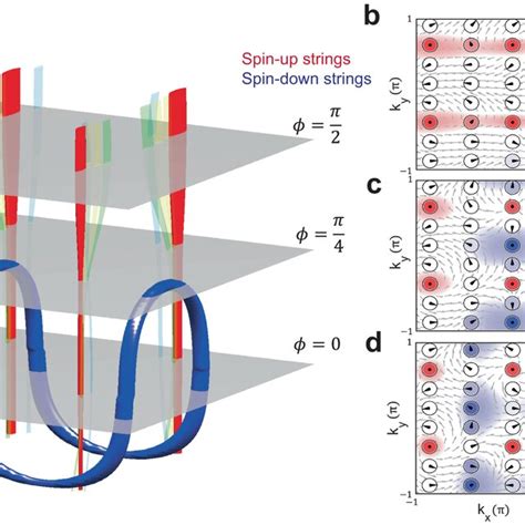 Sectional Visualization Of The Hopf Bundle A Theoretically Calculated Download Scientific