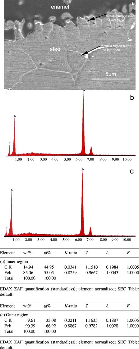 3000× a sem micrographs of interface in fce enamel b typical eds