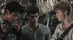 Thomas Newt And Minho The Maze Runner Photo Fanpop