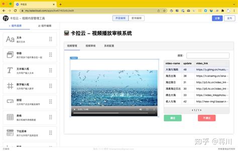 Videojs 使用教程 手把手教你基于 Vue 搭建 Html 5 视频播放器 知乎