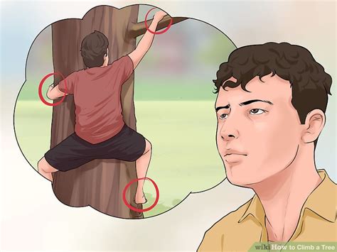 How To Climb A Tree With Pictures WikiHow