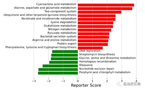 宏基因组升级策略之功能富集分析 知乎
