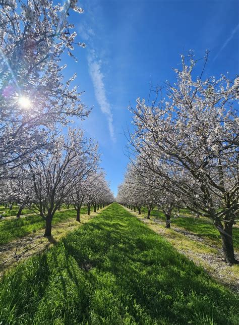 Miss Molly V Photography Added Miss Molly V Photography