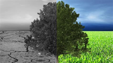 Iso 14001 2015 Environmental Management Systems Ems