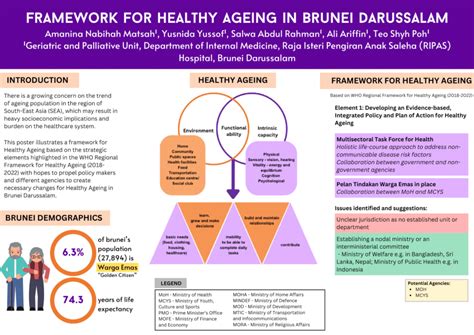 Pdf Framework For Healthy Ageing In Brunei Darussalam