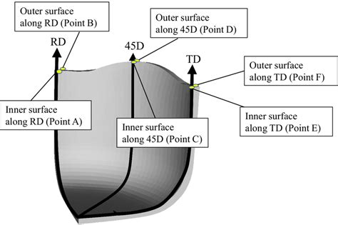 Example Of An EBSD Measurement Area Download Scientific Diagram