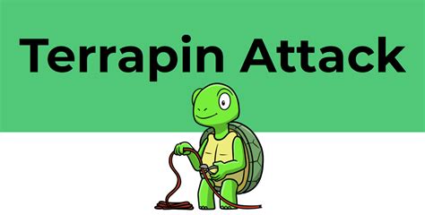 Security Alert The Terrapin Vulnerability In Openssh—millions At Risk