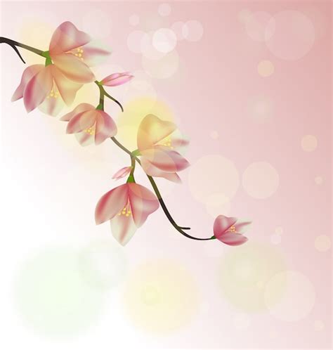 Sakura Flowers Spring Theme Premium Vector