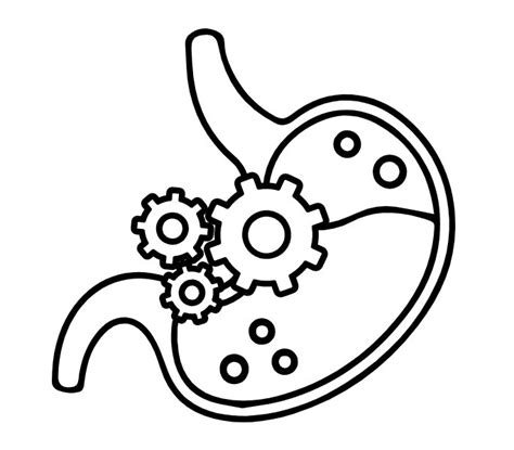 트림 복부팽만 가스 설사 변비 속 쓰림 소화불량 은 뭐 때문 위건강 위암 위염 국민방문요양센터 방문요양과 장기요양보험 정보