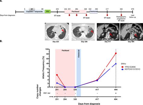 Cfdna Detection Can Clarify Mixed Response On Imaging Download