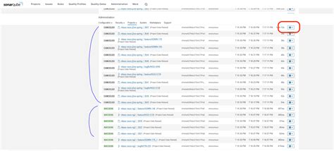 Upgraded Sonarqube 990 To 101 And Some Projects Are Not Visible
