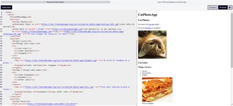 Hari Ram P On Linkedin Html Webdevelopment Freecodecamp