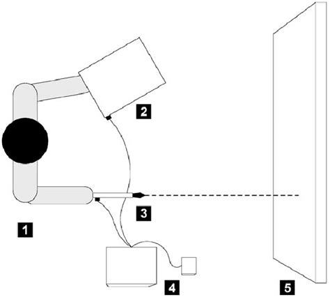 Schematic Physical Setup Download Scientific Diagram