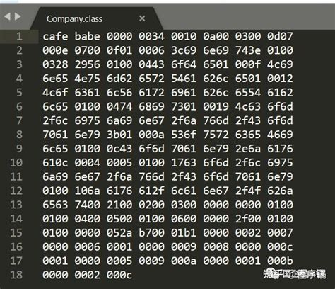 白话说jvm与class文件 知乎