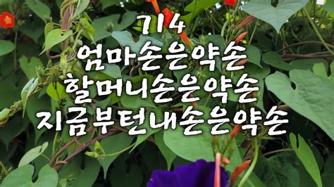 새벽5시세포명상 714 속이 더부룩하고 가스가 차는 분 먹기만하면 화장실 가는 분 스스로 자신의 명의가 되어 보세요