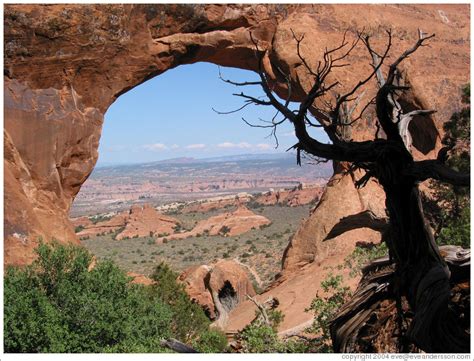 Partition Arch Photo ID 10866 Archesna