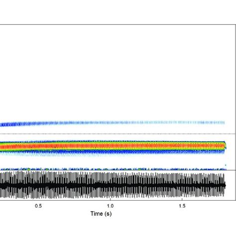Audiospectrogram Above And Corresponding Oscillogram Below Of The