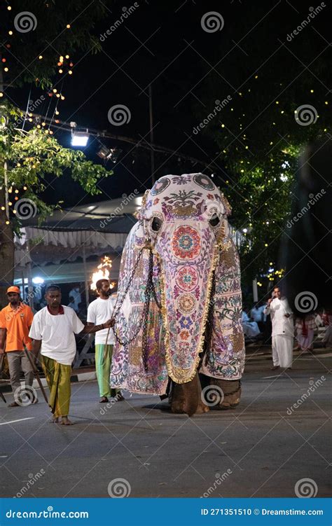 Sri Lankan Procession In Colombo Traditional Dancers Of Hill Country